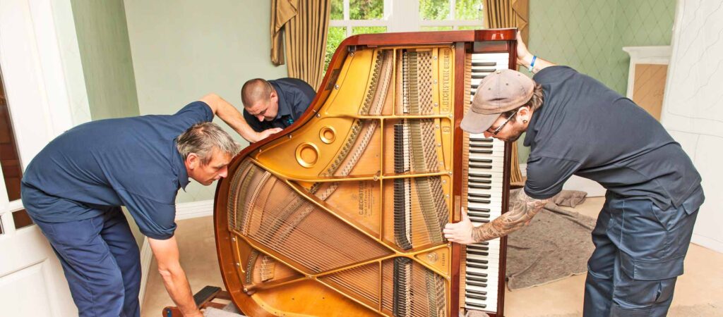 Best Removalists Adelaide - OMG - Office Moves Group